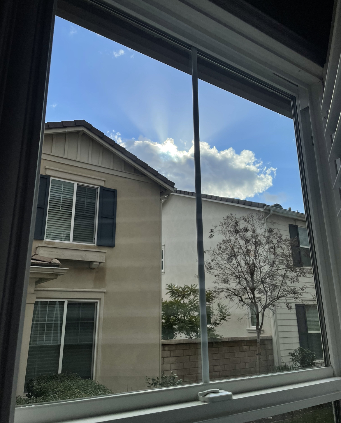 Gallery | Speedy Window Cleaning